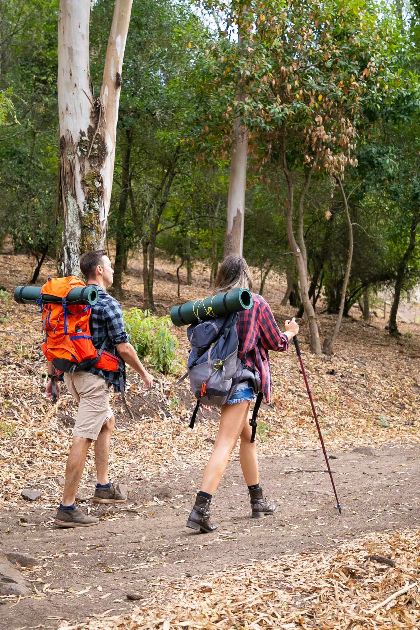 Saval – Discover your best Self! Saval your year-round fitness companion